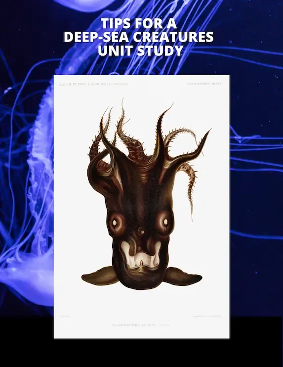 6 Ideas For a Deep Sea Thematic Unit Study