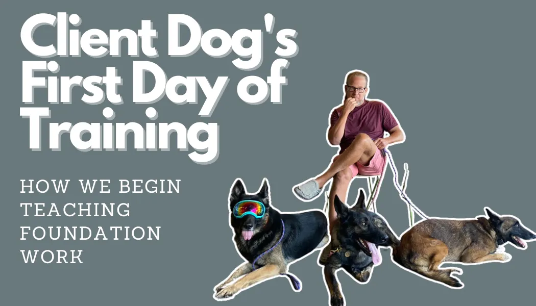 Solid K9 Training Membership Area