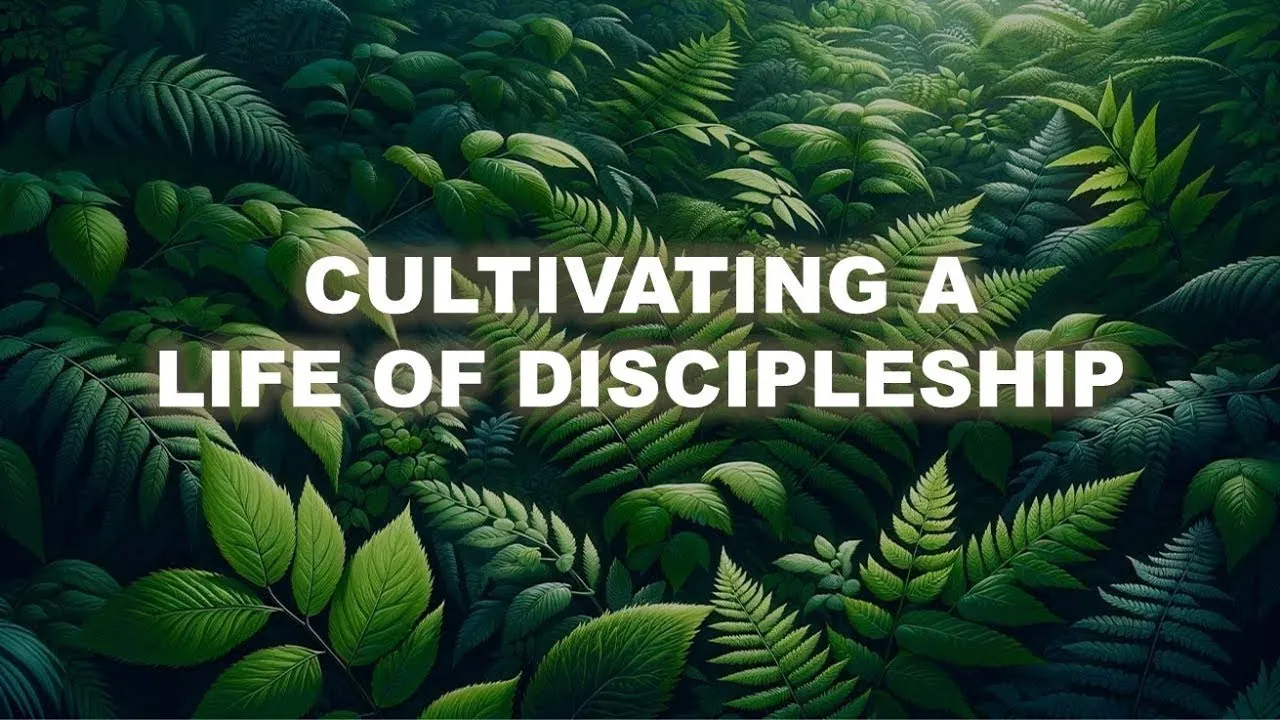 Cultivating a Life of Discipleship | Life Church St Louis
