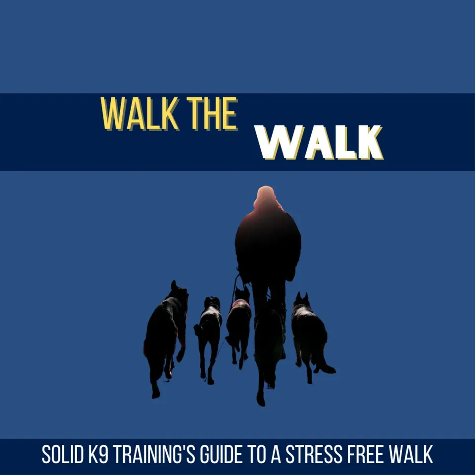 Solid K9 Training Membership Area